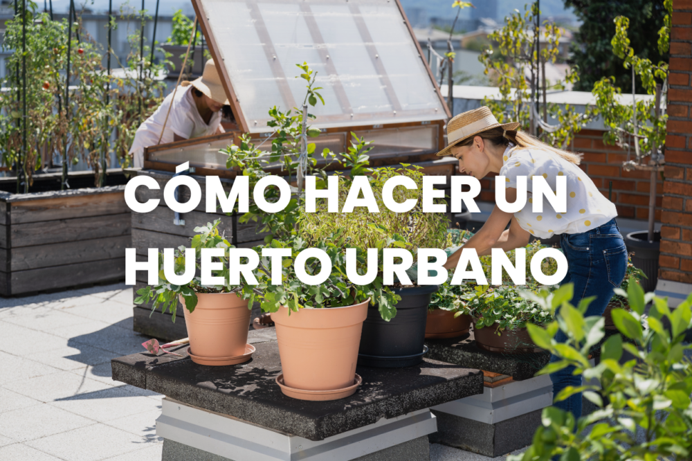 Cómo hacer un huerto urbano en casa - Sacosa