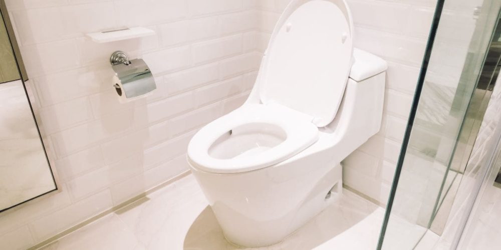 Tipos de Inodoros 】 Diferencias para la Comodidad 🚽 - Sacosa